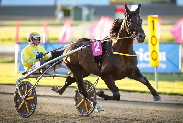 EARL SIMON :: Oriasema-lohilahti